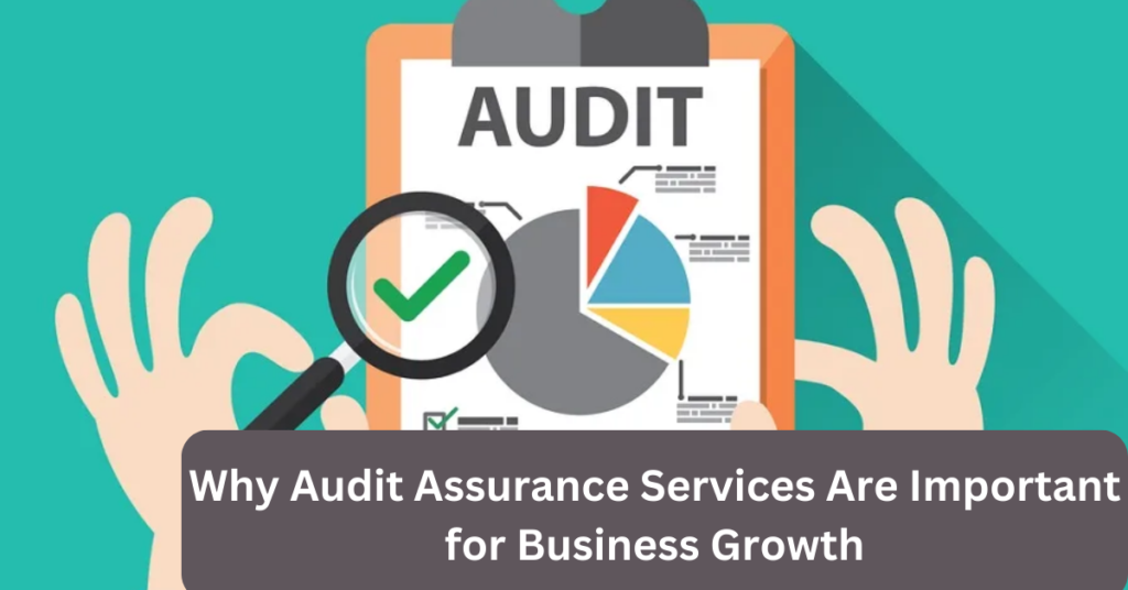 Importance of Audit Assurance for Business Growth - SGujar